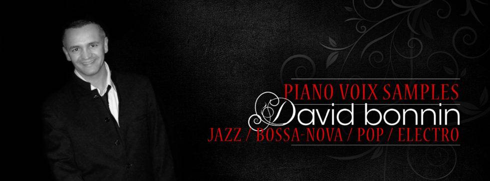 david bonnin solo Piano-Voix-Samples - l'Estanco - Bassens - Musique ...